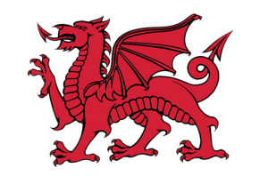 Online Directory - Local Dragon